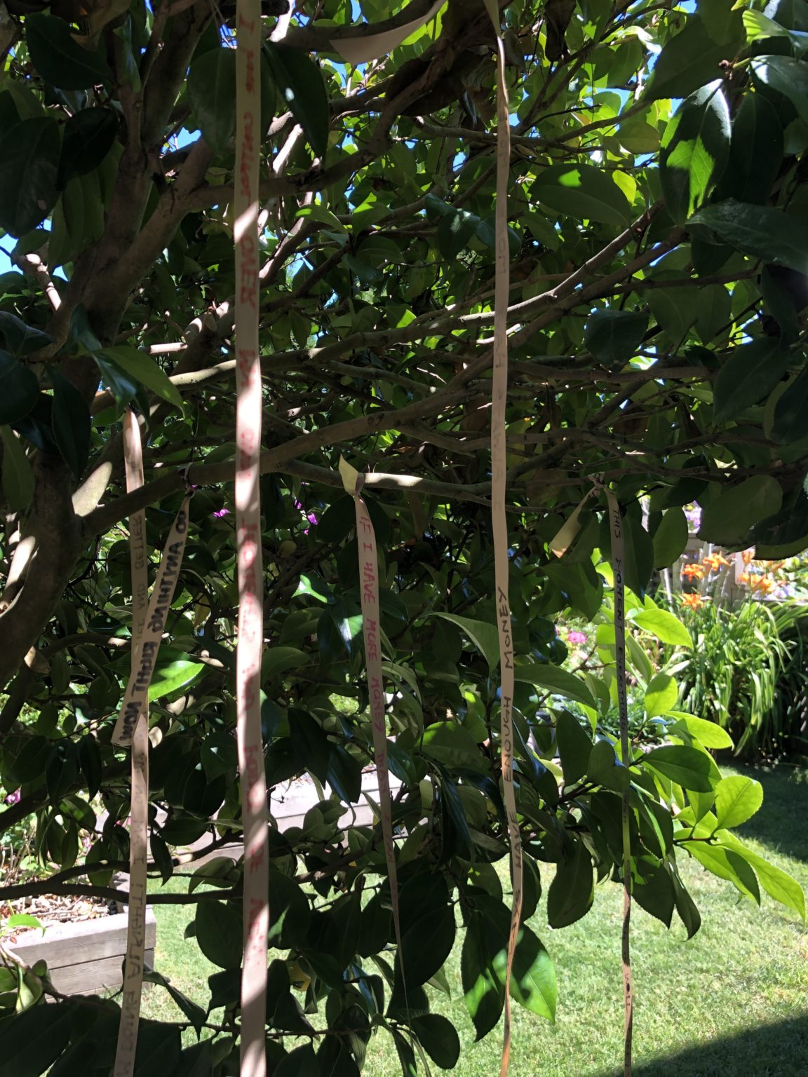 What to write on the ribbons and why - Jeni Chen