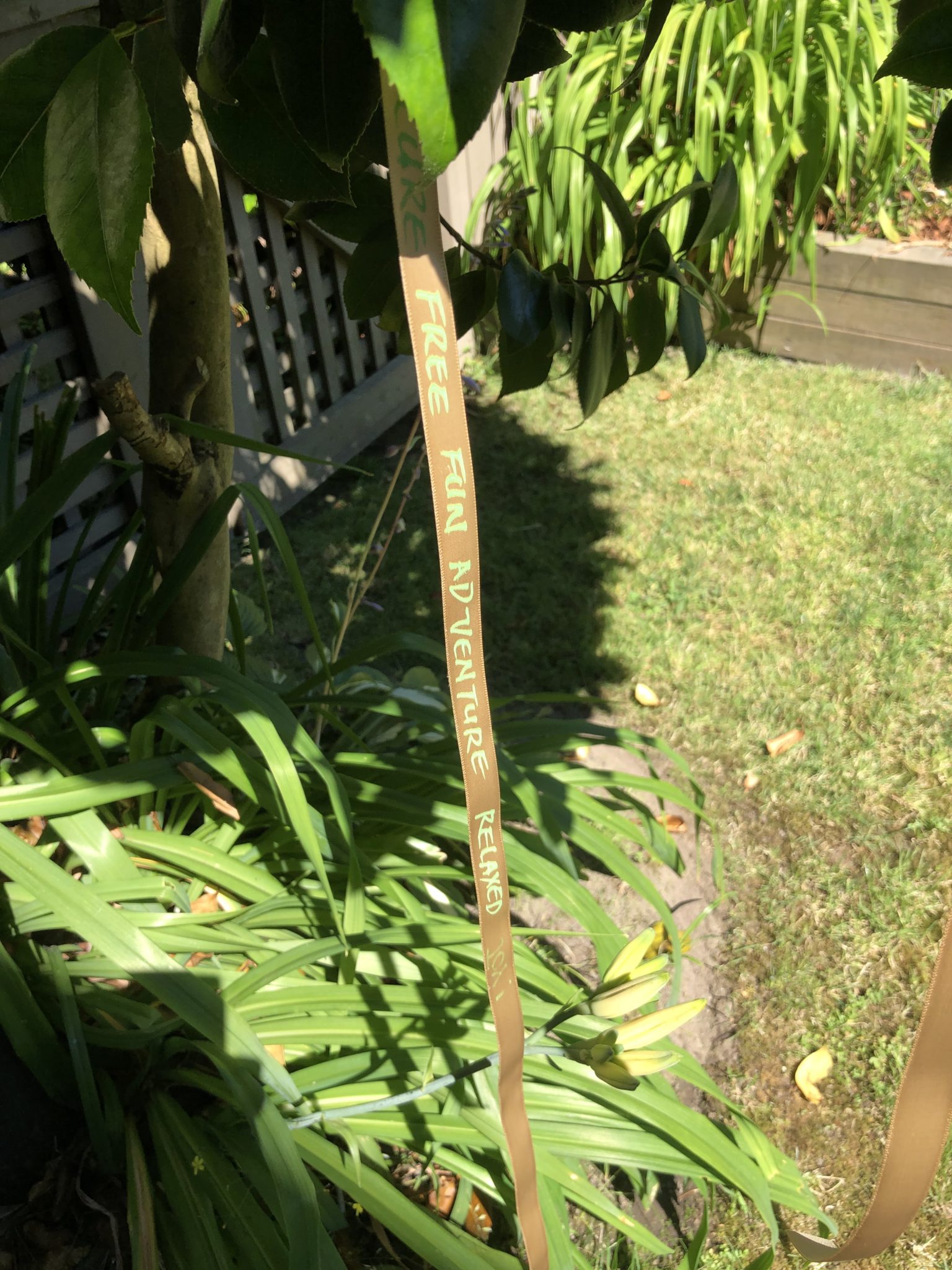 What to write on the ribbons and why - Jeni Chen